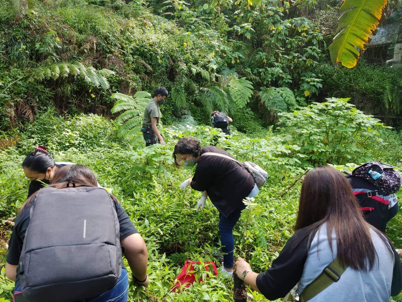 University of Baguio Concludes Another Tree Planting Activity ...
